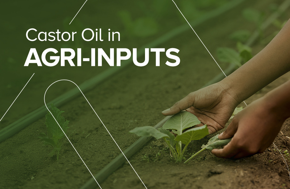 Castor Oil in Agri‑Inputs: From Eco‑Pesticides to Soil Enhancers